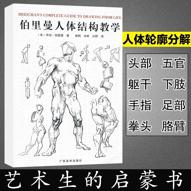 【官方旗舰店】伯里曼人体结构绘画教学（彩色版）伯里曼大全集 人体绘画从入门到精通 人体构造 人体结构 实用人体解剖 绘画技法 伯里曼人体结构教学