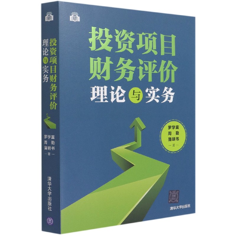 投资项目财务评价理论与实务