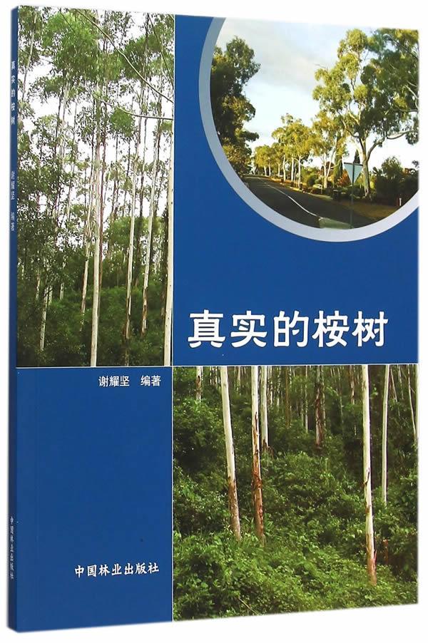 真实的桉树