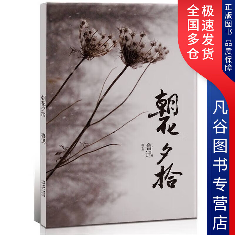 【书】琥珀经典文丛 朝花夕拾