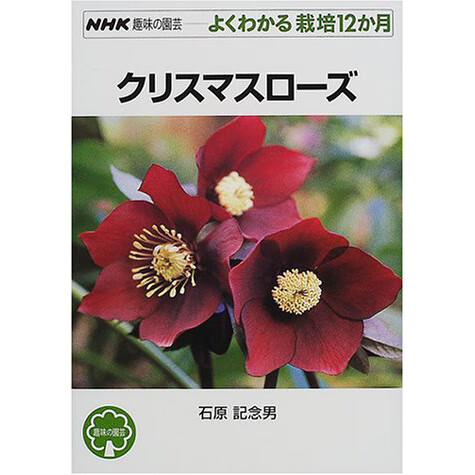 现货 クリスマスローズ  日本圣诞玫瑰花种植技术书 黑嚏根草栽培