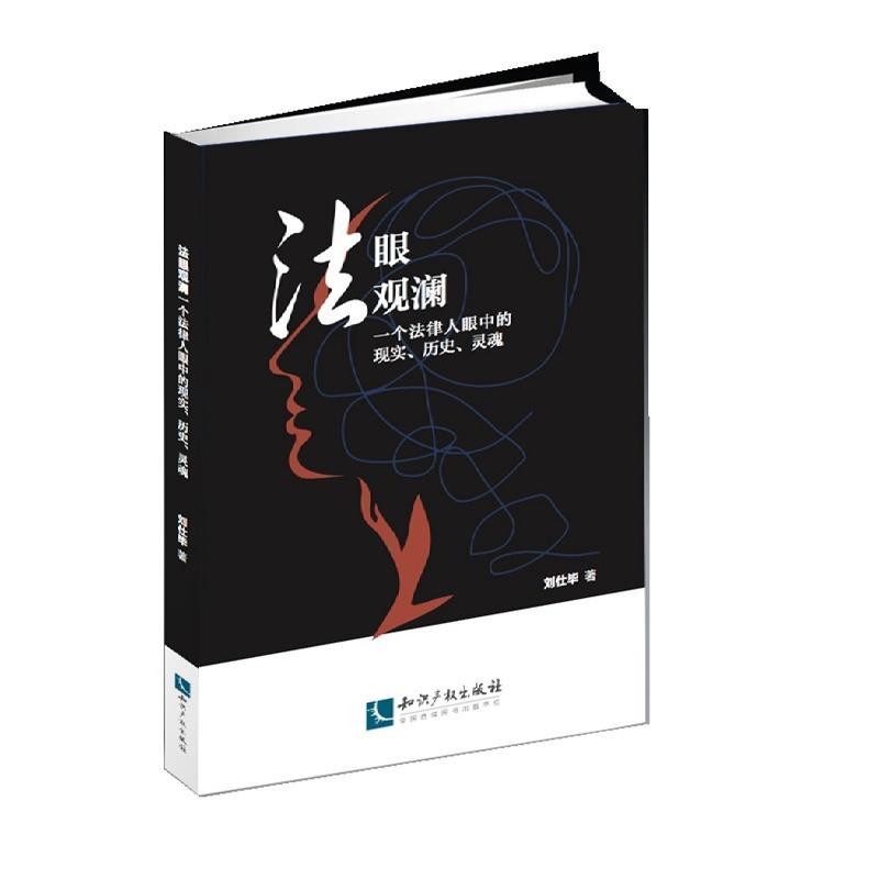 法眼观澜·一个法律人眼中的现实、历史、灵魂 刘仕毕