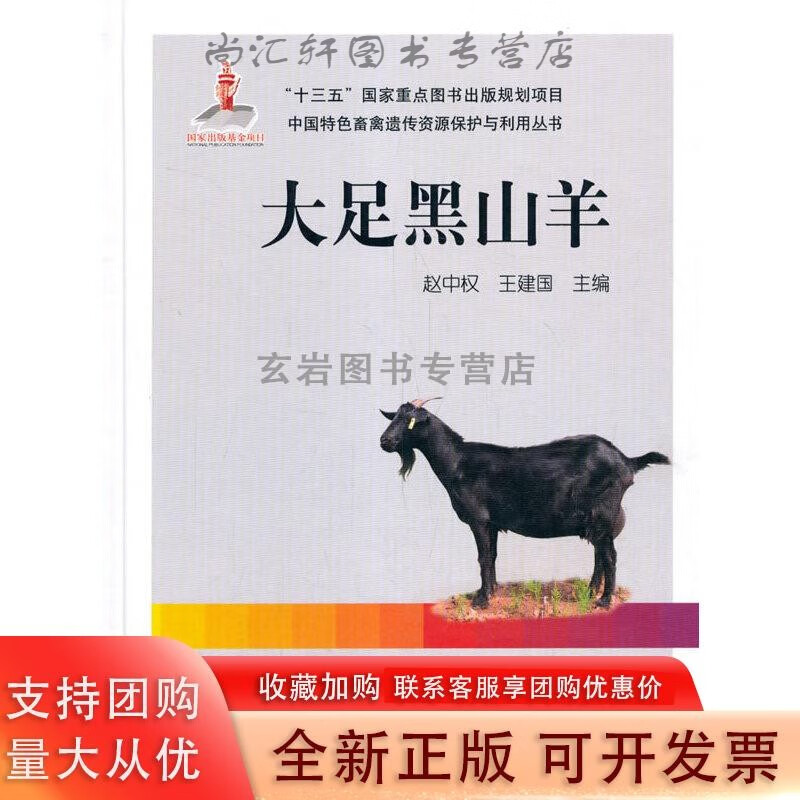 大足黑山羊