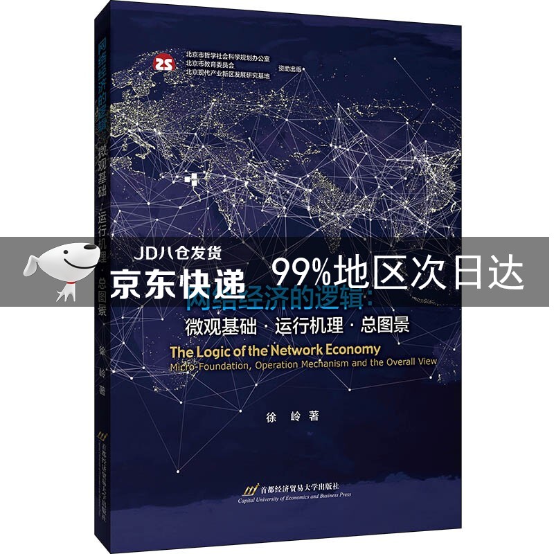 网络经济的逻辑：微观基础 运行机理 总图景