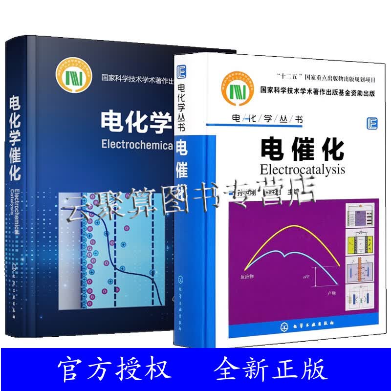 2册 电化学催化 魏子栋+电化学丛书 电催化 电催化基础知识 电催化过程教程书籍 电催化剂理论设计理论模拟制备工艺技术 化学工业