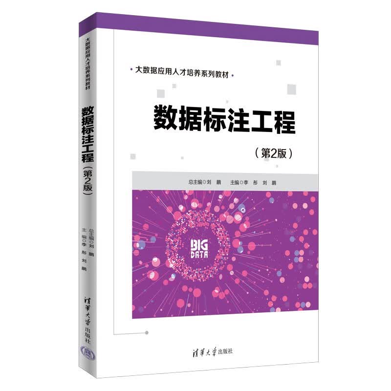数据标注工程(第2版）（大数据应用人才培养系列教材）