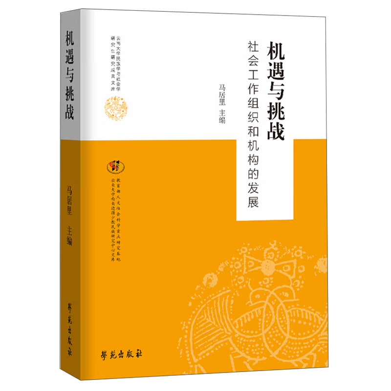机遇与挑战 社会工作组织和机构的发展【精选】