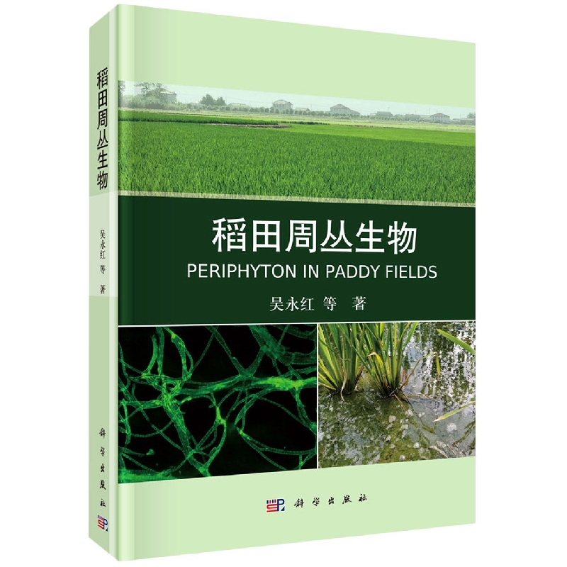 稻田周丛生物
