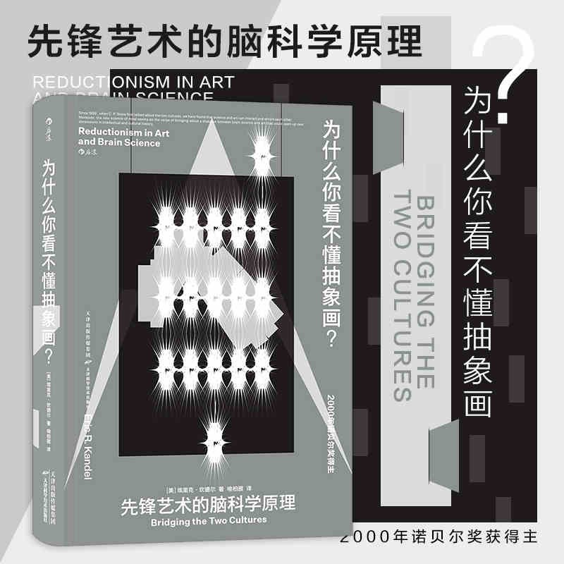 【官方】为什么你看不懂抽象画(先锋艺术的脑科学原理)(精) 抽象艺术 后浪图书 书籍