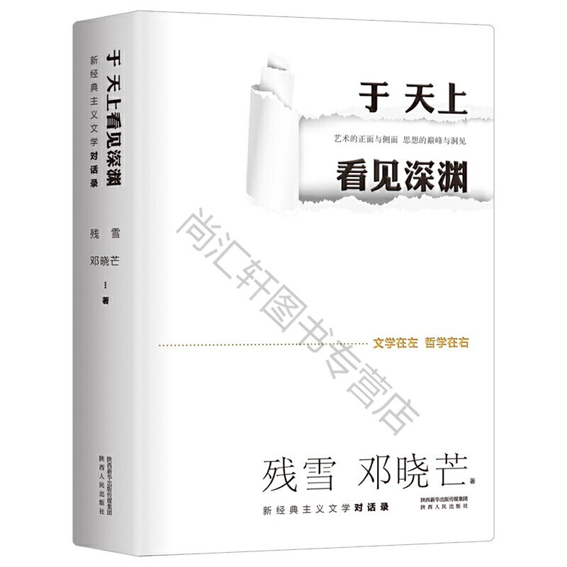 于天上看见深渊：新经典主义文学对话录