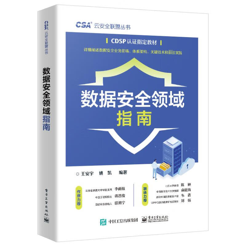 数据安全领域指南 王安宇 数据安全范畴和目标 CDSP认证教材 高等院校网络空间安全 计算机信息技术类专业教材书籍 电子工业出版社