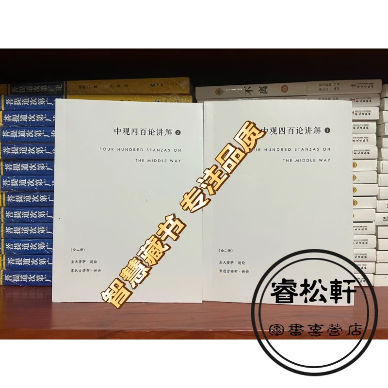 中观四百论 上下全 索师