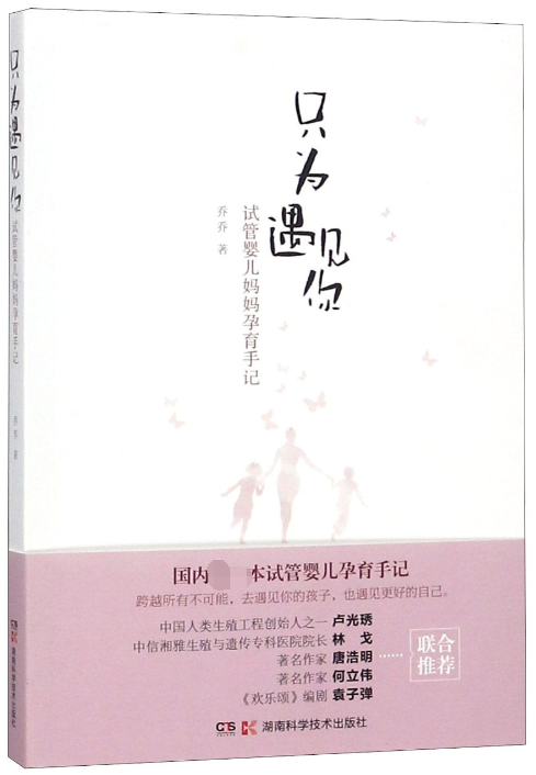 只为遇见你(试管婴儿妈妈孕育手记)