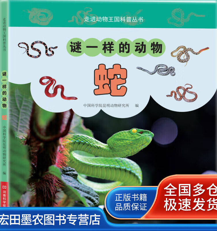 谜一样的动物 蛇【好书】