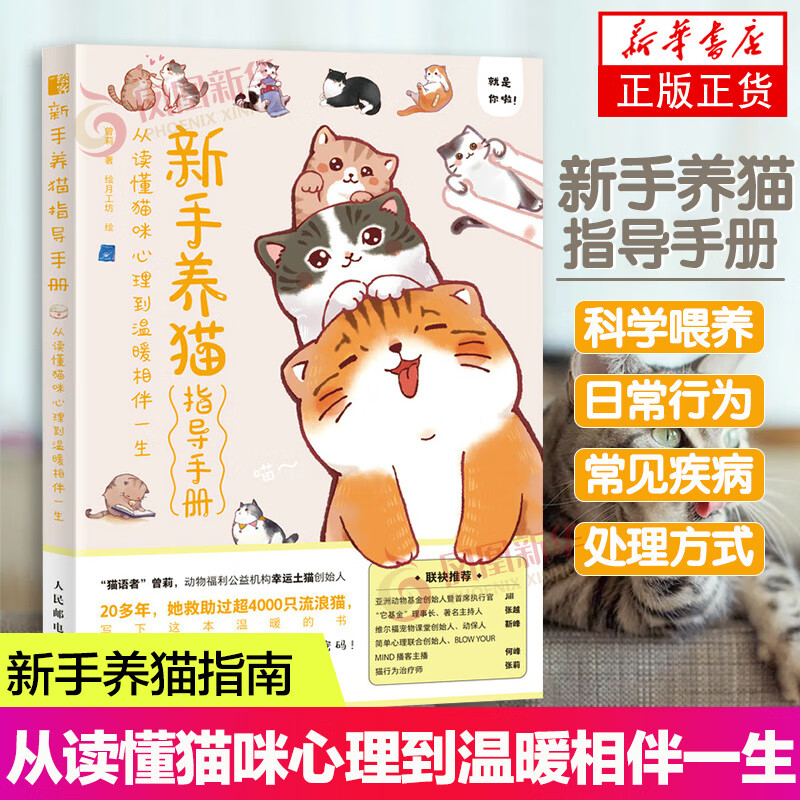 新手养猫指导手册 从读懂猫咪心理到温暖相伴一生 养猫书籍 新手养猫指南 宠物猫喂养知识 了解猫咪的日常行为 常见疾病处理方式