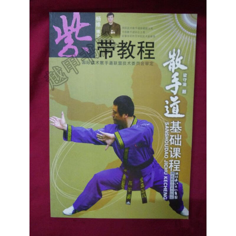 散手道基础课程 紫带教程 杨维著196页 基本技术攻防训练战术秘法