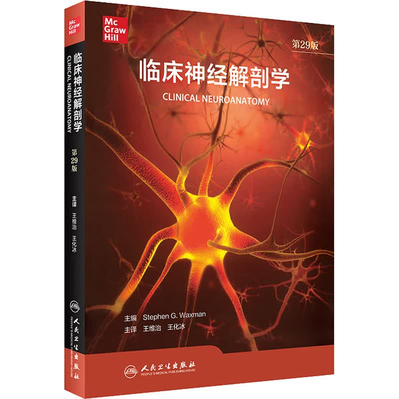 临床神经解剖学 第29版
