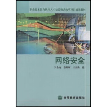 网络安全 吴金龙等