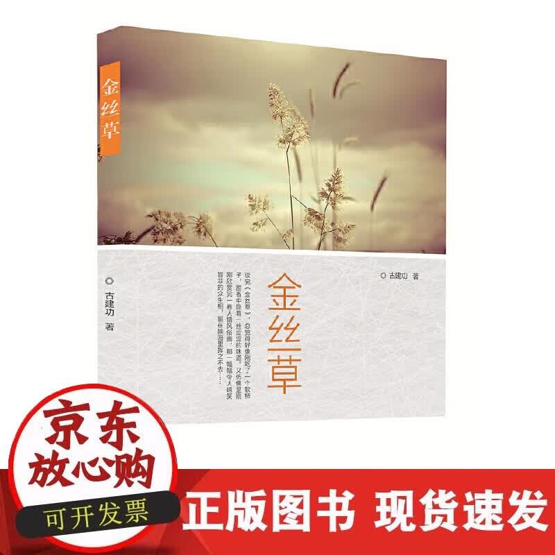 【现货】金丝草