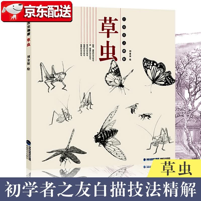 白描技法精解 草虫 中国画花草植物工笔画白描底稿书白描勾线画谱美术绘画初学者入门到精通基础教程 线