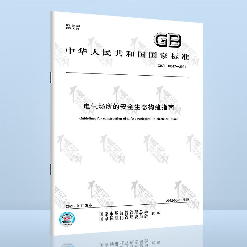 GB/T 40617-2021电气场所的安全生态构建指南