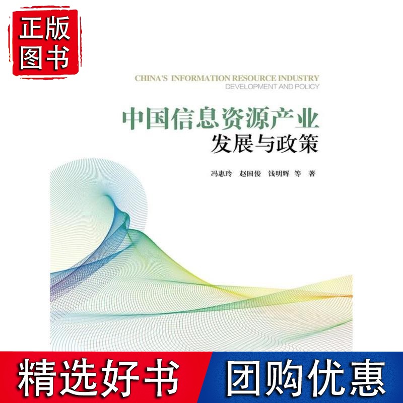 中国信息资源产业发展与政策