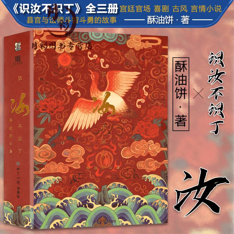 《识汝不识丁》全三册 酥油饼古风长篇小说 宫廷官场喜剧纯爱畅销书籍言情小说女 千圣院鲜满宫堂作者力作