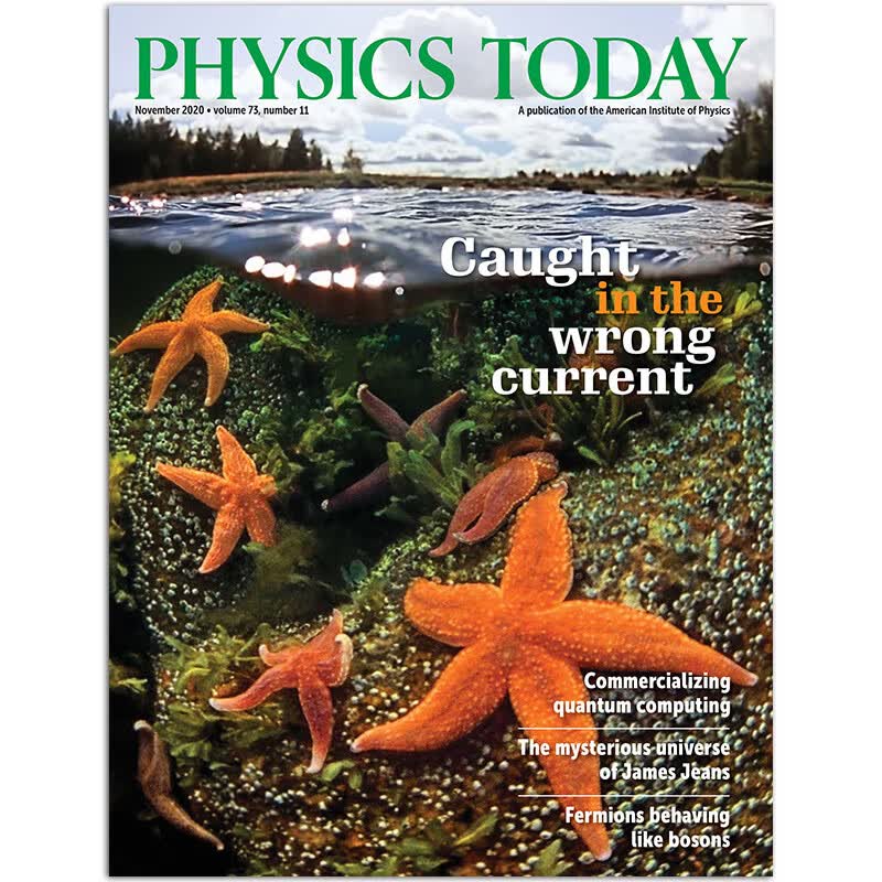 【单期可选】Physics Today 今日物理学杂志 2020/21/22年月刊 2020年11月刊