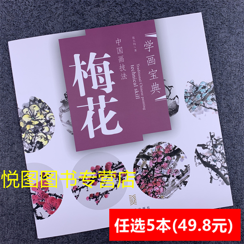梅花的画法 学画宝典中国画技法：梅花 张大钧著花卉画技法入门步骤解析作品构图临摹欣赏 国画入门基础教程9787539319896