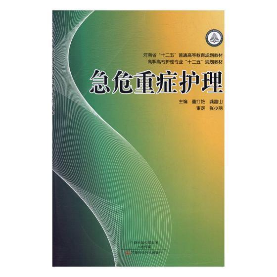 急危重症护理董红艳娱乐/休闲9787534971327 急性病护理高等职业教育教材