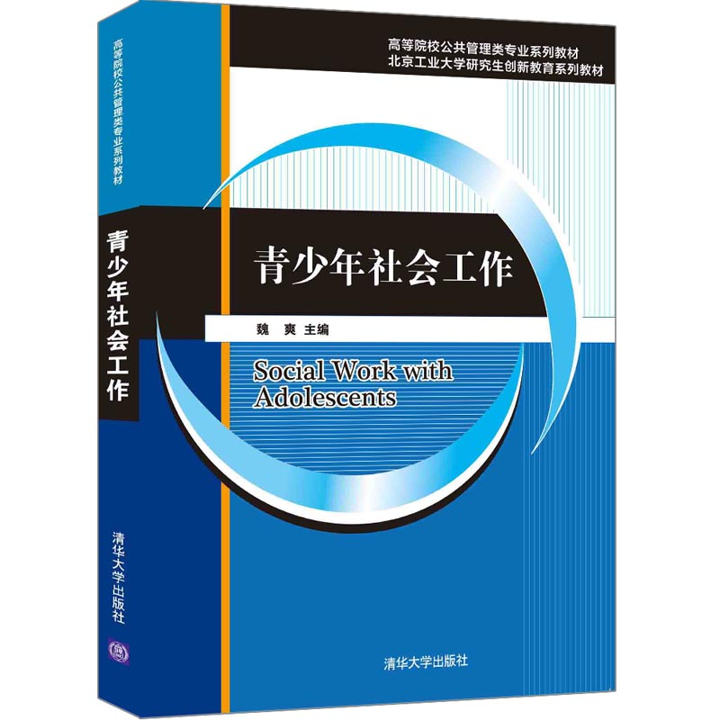青少年社会工作 魏爽 清华大学出版社