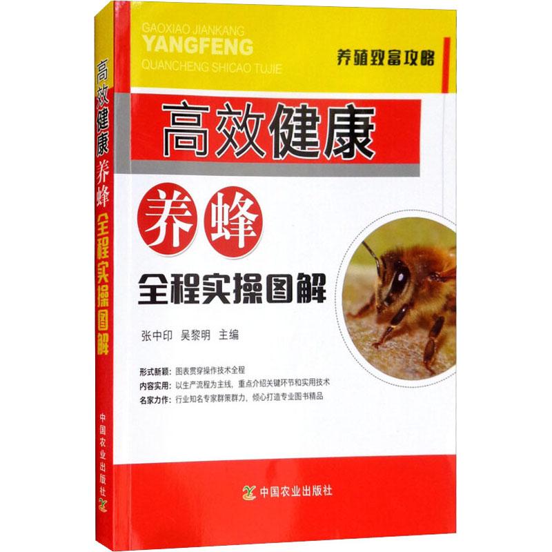 高效健康养蜂全程实操图解
