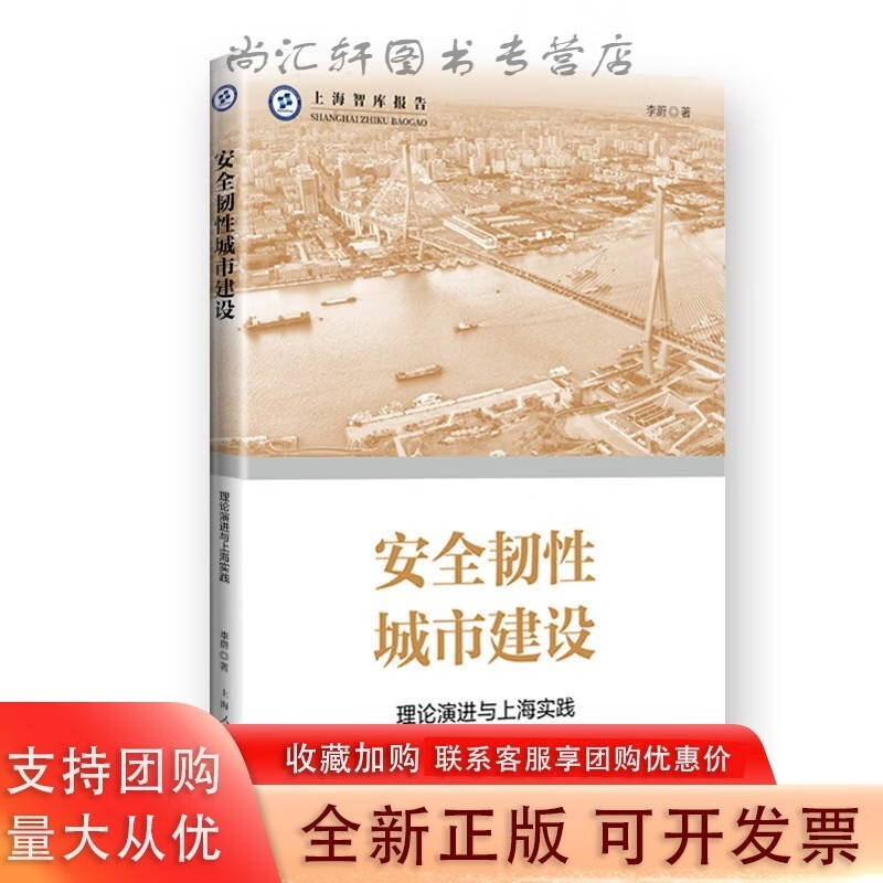 安全韧性城市建设