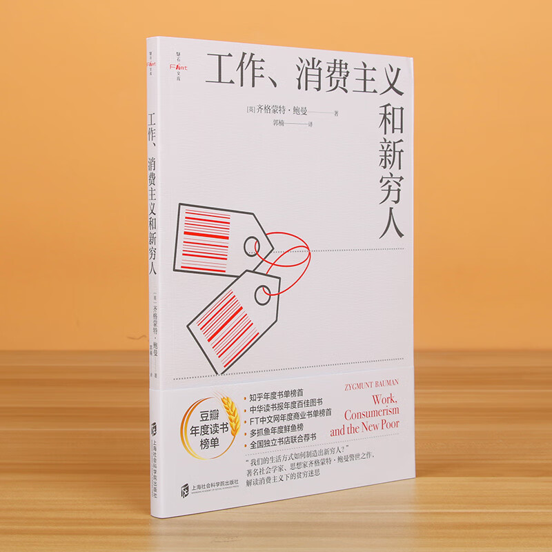 工作消费主义和新穷人