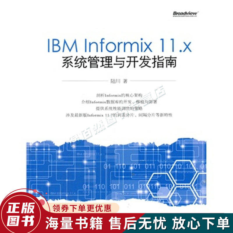 IBM Informix 11.x系统管理与开发指南