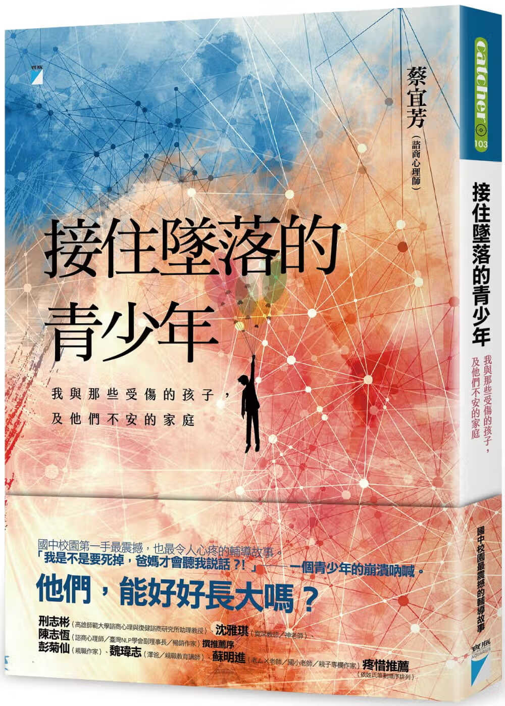 预售 蔡宜芳接住坠落的青少年：我与那些受伤的孩子，及他们不安的家庭宝瓶文化