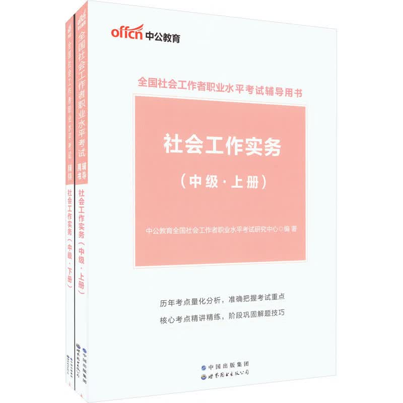 社会工作实务(中级)(全2册) 图书