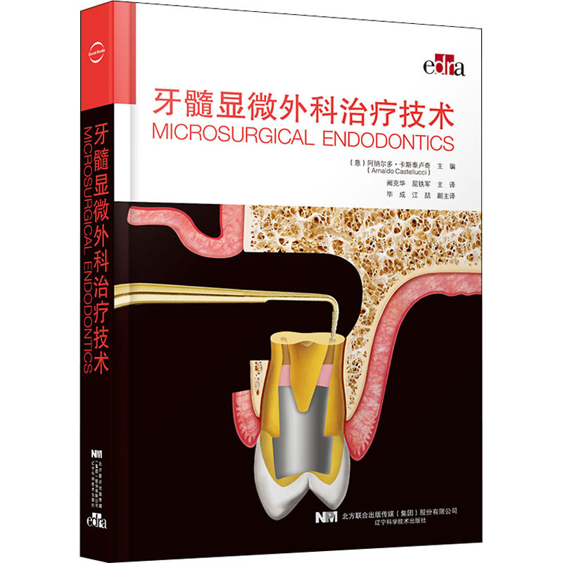 牙髓显微外科治疗技术 图书