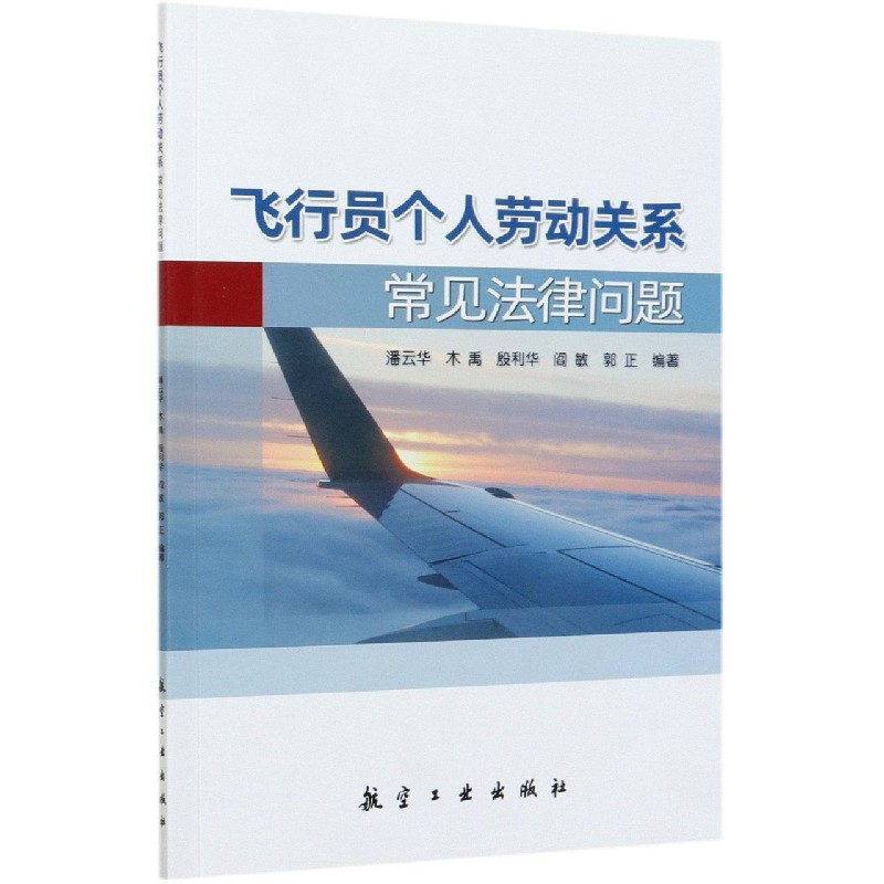 飞行员个人劳动关系常见法律问题