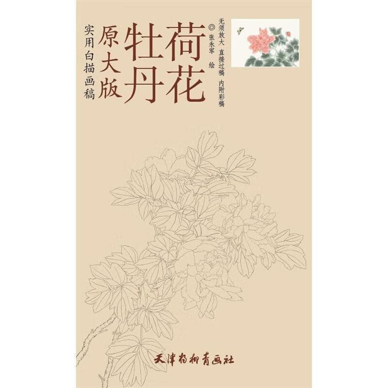 牡丹荷花 张永军【书】