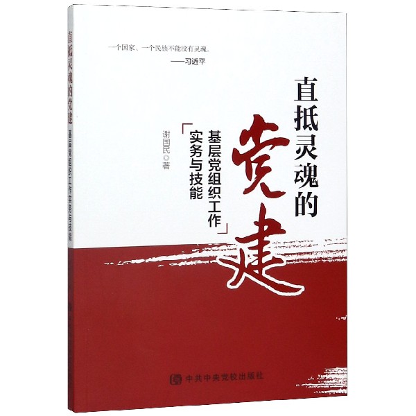 直抵灵魂的党建(基层党组织工作实务与技能)