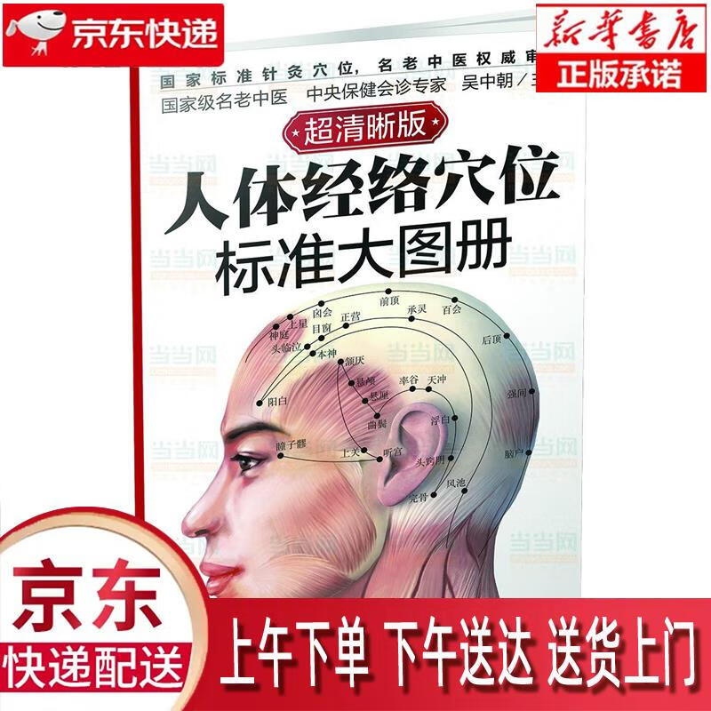 【全新送货上门】人体经络穴位标准大图册 吴中朝 中国轻工业出版社