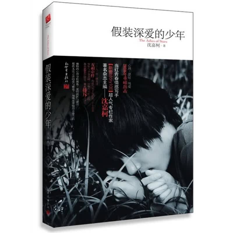 假装深爱的少年【好书】