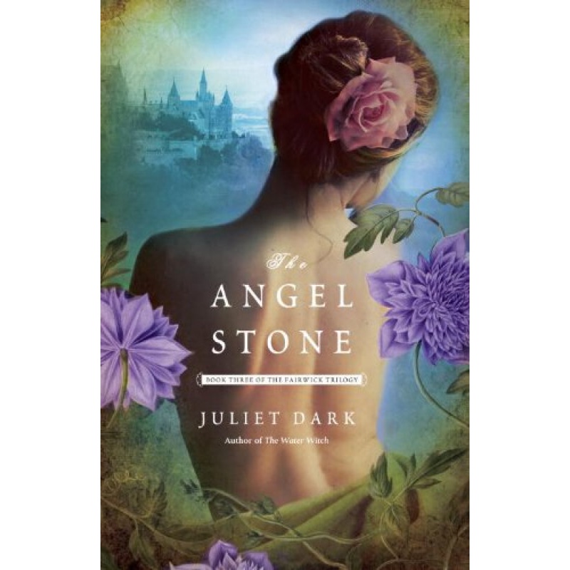 The Angel Stone 英文原版