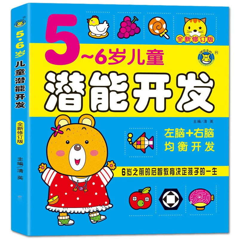儿童潜能开发1-2-3-4-5-6-7岁宝宝幼儿思维益智力左右脑训练玩具 5-6岁潜能开发