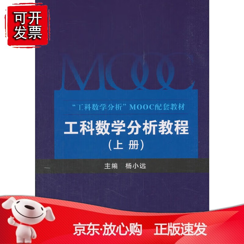 工科数学分析教程（上册）