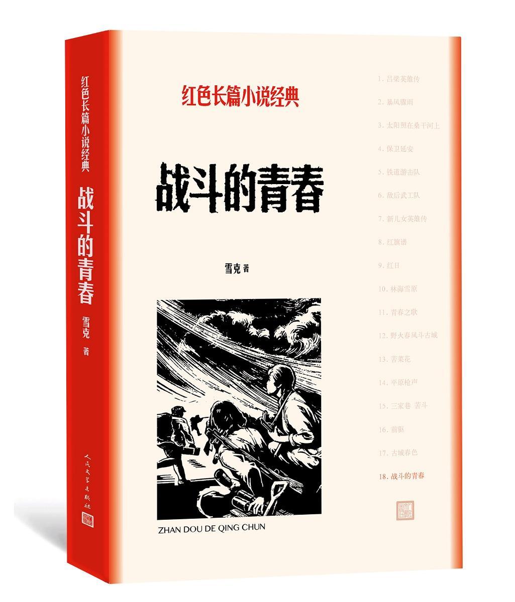 战斗的青春小说 图书