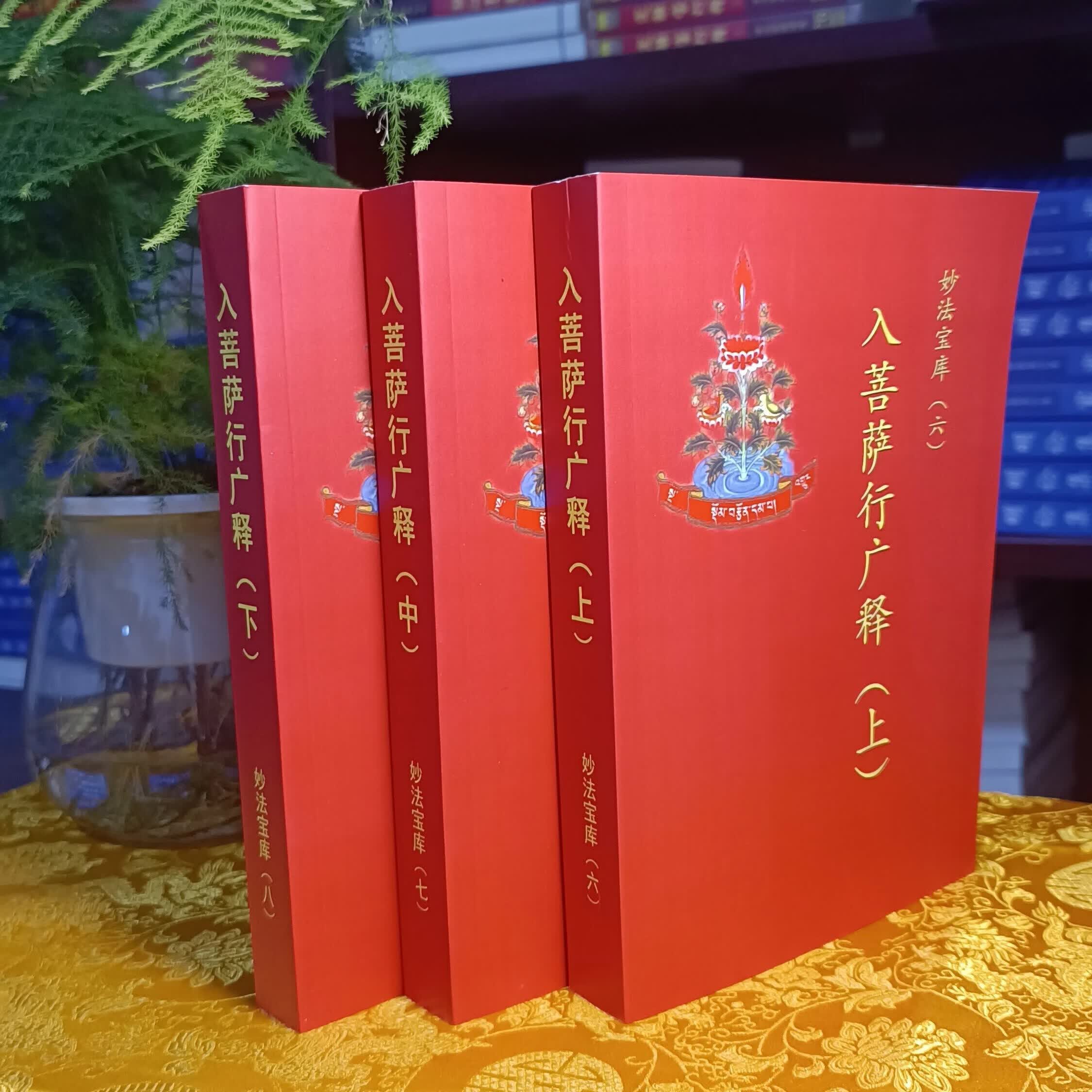 定做的 入行论广释 索讲 妙法7 8 9