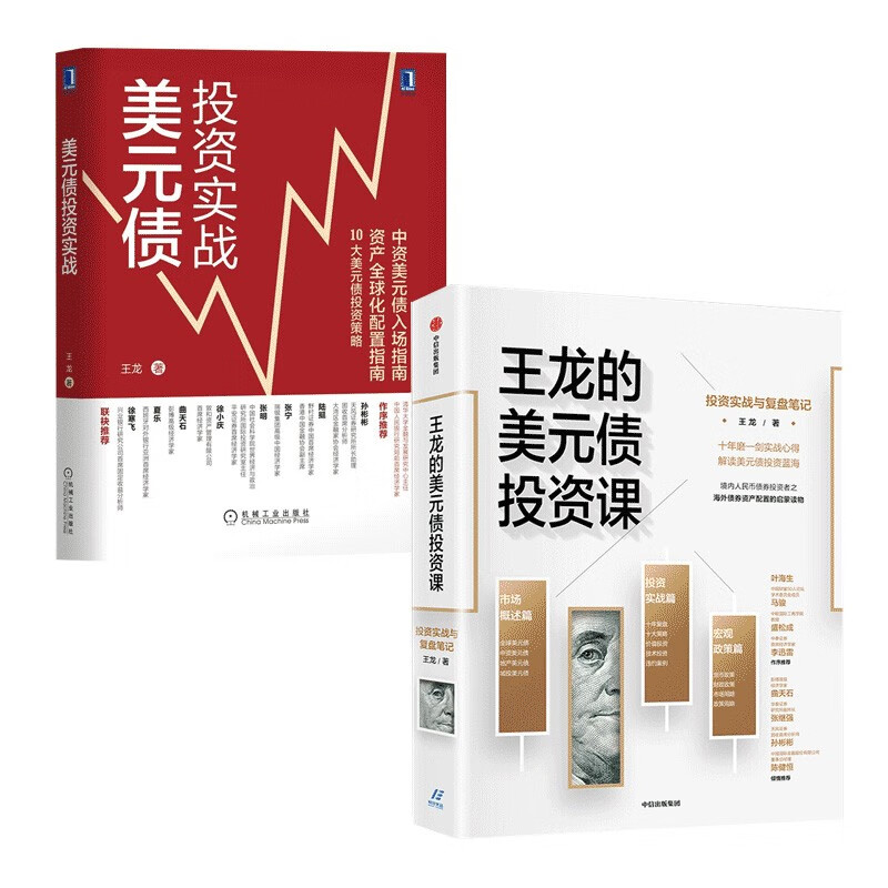 【套装2册】王龙讲美元债投资课：美元债投资实战+王龙的美元债投资课