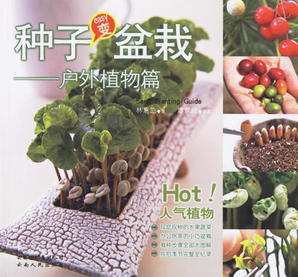 种子变盆栽:户外植物篇